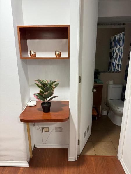 Andina Suite 7 - Santiago