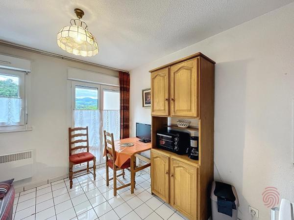 Studio Lumineux Avec Balcon, Animaux Admis - Fr-1-451-218 - Lamalou-les-Bains