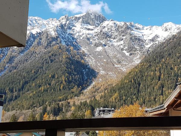 Vue Magique En Hypercentre Avec Parking Privatif - Lac du Brévent