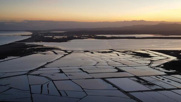 Quatre Vent - Narbonne
