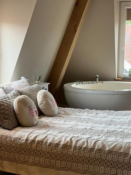 Luxury Spa With Sauna, Bath And Cinema Private - South Holland