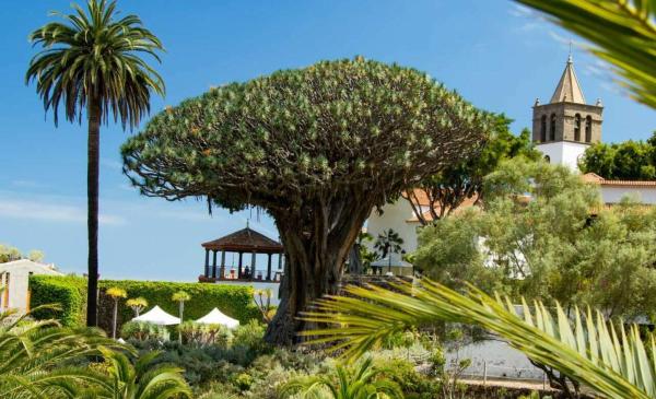 Suites San Agustín 45 - Adults Only - Icod de los Vinos