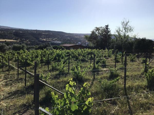 Pervolaris Cottages 1 - Argaka