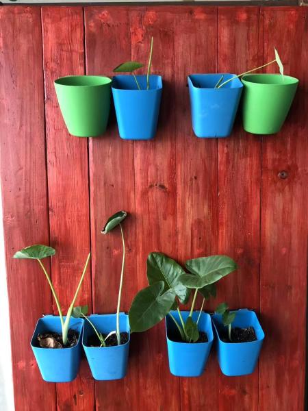 Eco Place, Johor Bahru - Malaysia