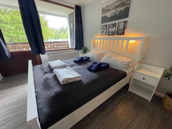 Ferienwohnung In Freudenstadt-kniebis I, Schwarzwald - Freudenstadt