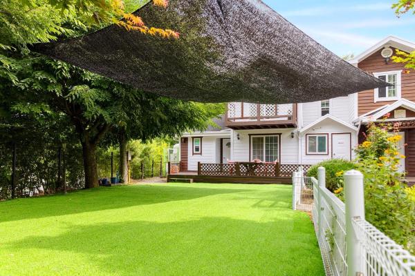 Gapyeong Funny Meong Dasom Branch - South Korea