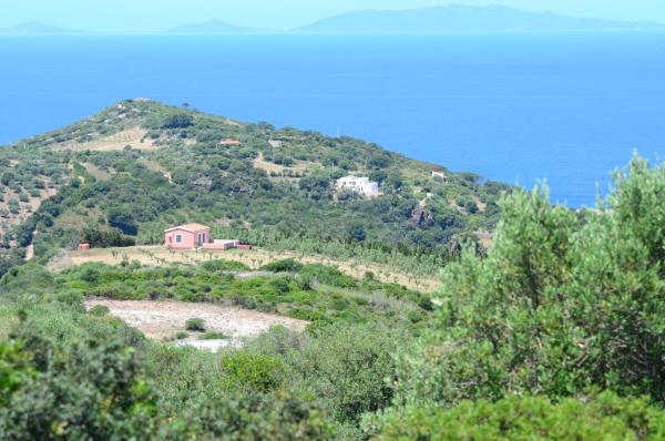 Villetta Olivia Casa In Collina Vista Mare - Castelsardo