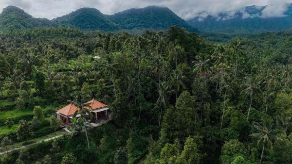 The Sekumpul Villa - Bali