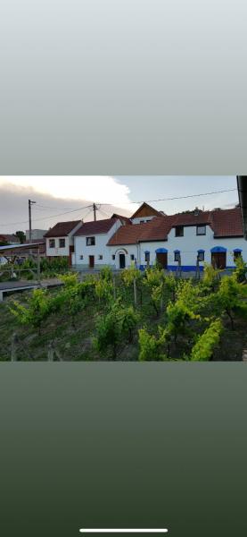 Vinný Sklípek S Ubytováním - Tschechien
