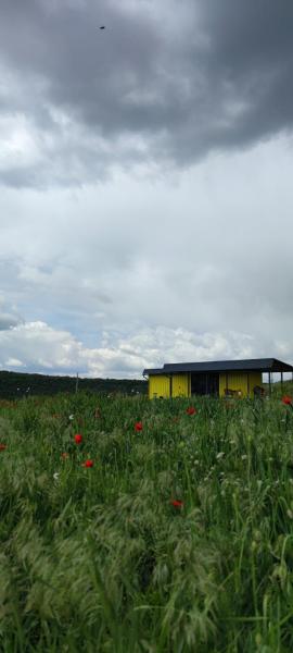 Illu Resort - Moldova