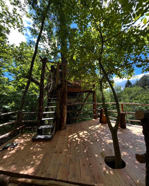 Rivendell Treehouse - Provincia di Lucca