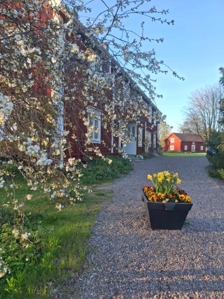 Mjölby Vandrarhem - Mjölby