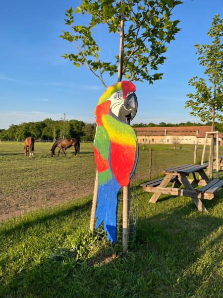 Zoofarma Penzion Konírna - Chequia