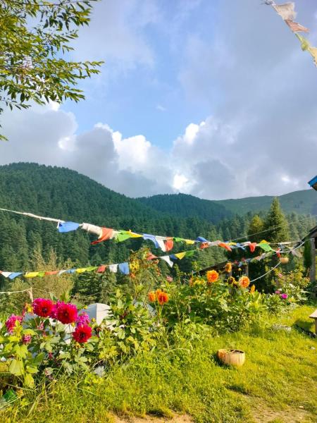 Shiva Cafe And Stays - India