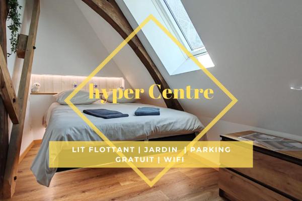 L'hibou De La Cathédrale - Hyper Centre - Jardin - Wifi - Troyes