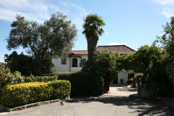 Casa De Marlães - Penafiel