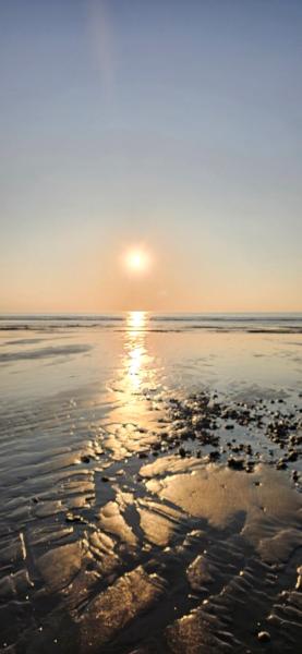 Le Nid Bleu Confort & Mer à Pied - Ault