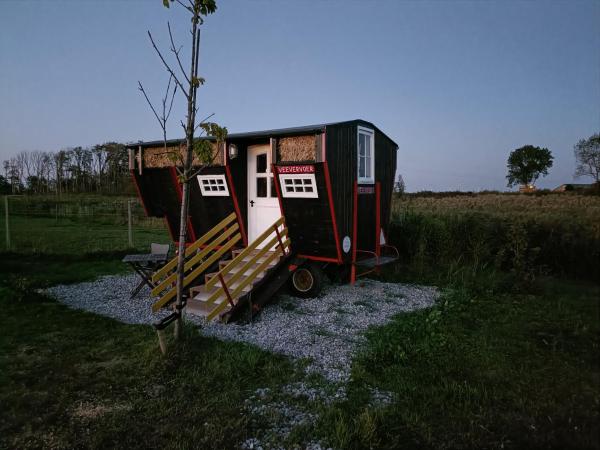 Farmstay Zijperdijk - Netherlands