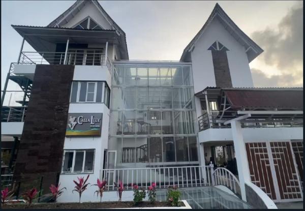 Calla Lily By The Brook - Kodaikanal