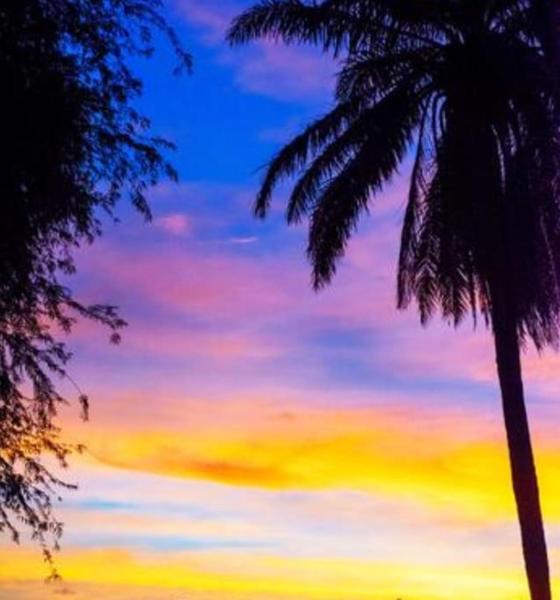 Chez Lilly - 아루바