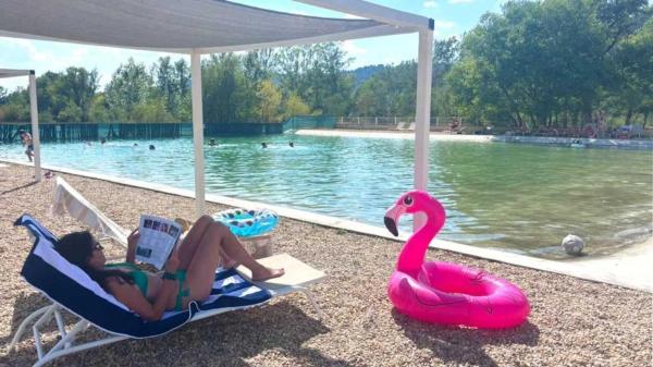 Zecamping 3 éToiles Chiens Acceptés Piscine Bar Et Restaurant - France