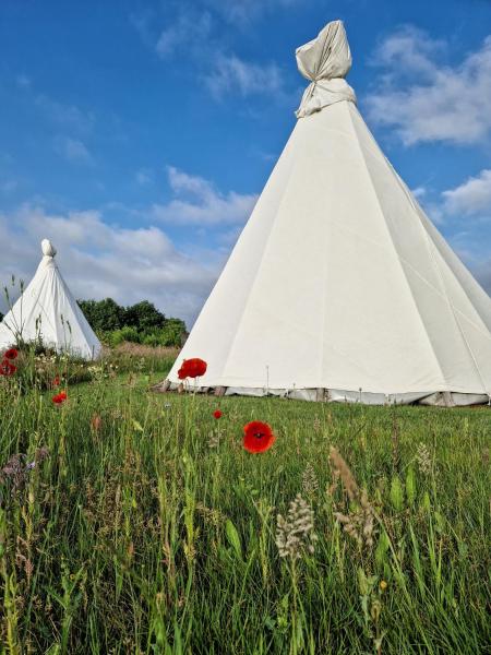 Landgoed Omorika - Belgium