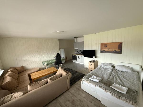 Leinesfjord ÄGotskaret Studio - Norvège