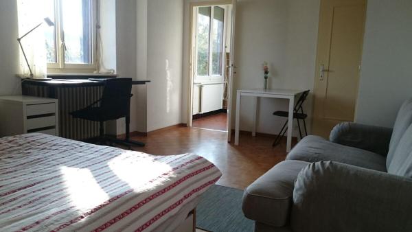 Geneva Central Apartment - Ginebra