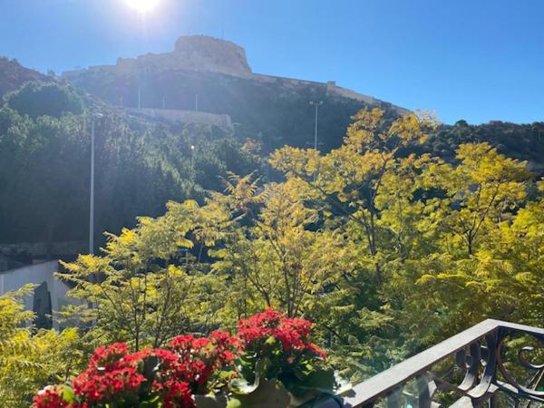 Casa Geranios - Alicante