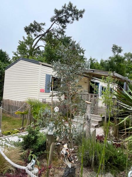 La Pinède Ensoleillée Au Camping La Dune Blanche - Sainte-Cécile Plage