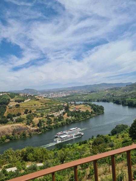 Delfim Douro Hotel - Mesão Frio