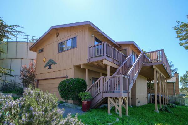 A Beautiful Tree Top Panorama - Cambria, CA