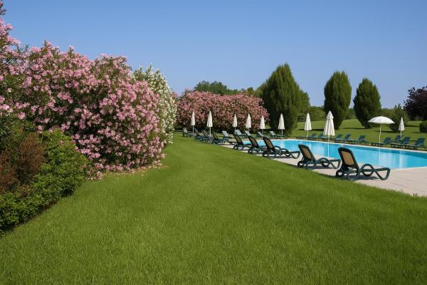 Green Garda Holidays - Garda Lake - Lazise