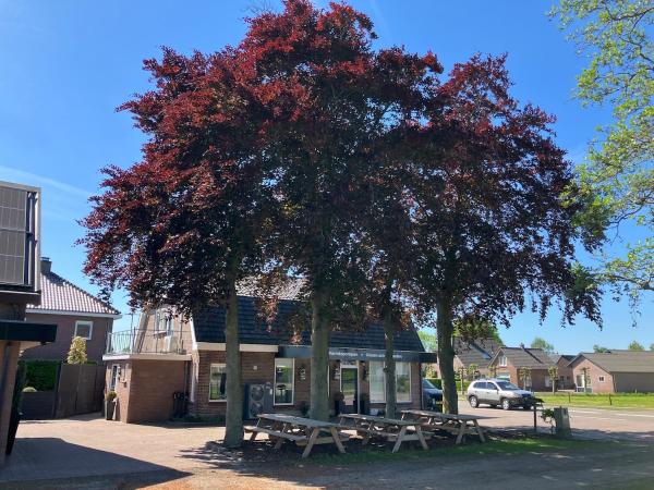 Klassiek Veluws Huis Onder De Beuken - Veenendaal