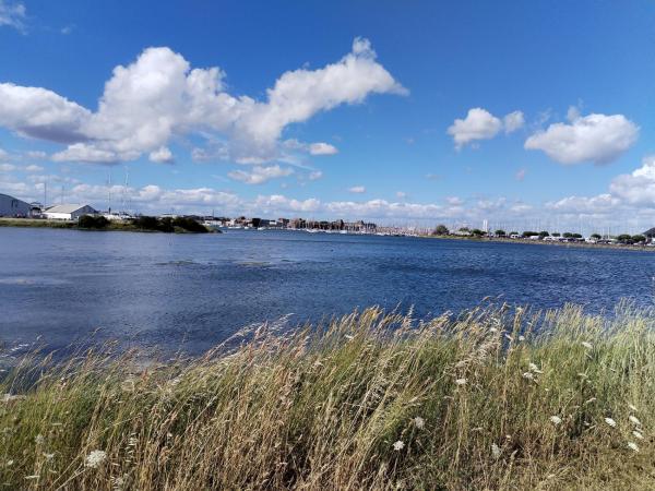 Zanflamme-kernevel - Larmor-Plage