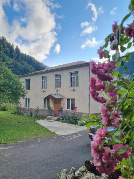 Napertskala Guesthouse - Georgia