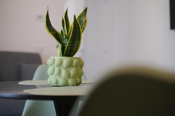 Amas Loft Mascagni - Bari