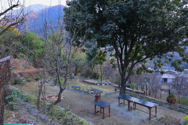 Laughter Love Live - Mandi