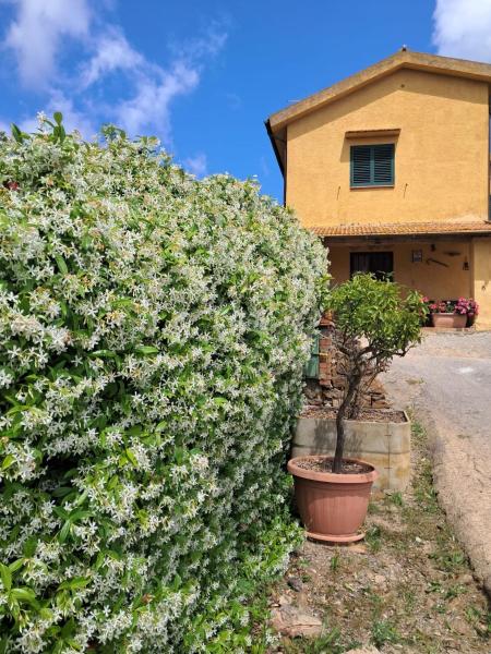 Casa Nel Cuore Verde Di Monte Argentario - Monte Argentario