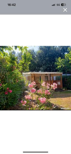Camping Saint Pierre Des Horts - La Londe-les-Maures