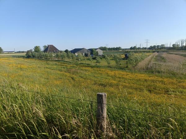 Farmstay Zijperdijk - Julianadorp