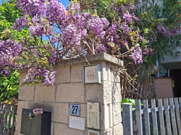 Via Buonarroti 27 - Follonica