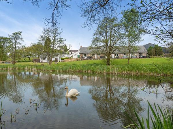Owl Cottage - Carmarthenshire