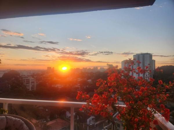 Refúgio Verde Apartamento Completo E Acolhedor Na Zona Sul - São Paulo
