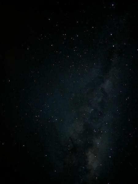 Rubys Nest - Matamata
