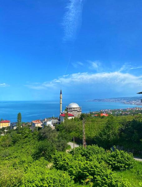 Denizin Ve Doğanın Birleştiği Yerde Mükemmel Bir Tatil Için Mükemmel Bir Villa 9 Yataklı- 4 Yatak Odalı-3 Banyolu-3 Klimalı - Trabzon