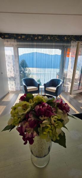 Panoramic View Frontal Apartment - Lugano