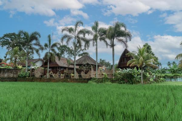 Umadesa Villa Tegallalang Ubud - Bali