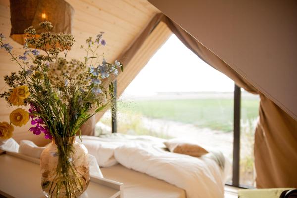 Ecohome Bries 8personen En Baby Zeezand Recreatie - Callantsoog