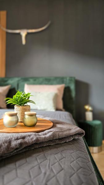 Nuwilu Two - Wohlfühlapartment Im Herzen Erfurts - Magenta Tv- Netflix - Disney - Erfurt